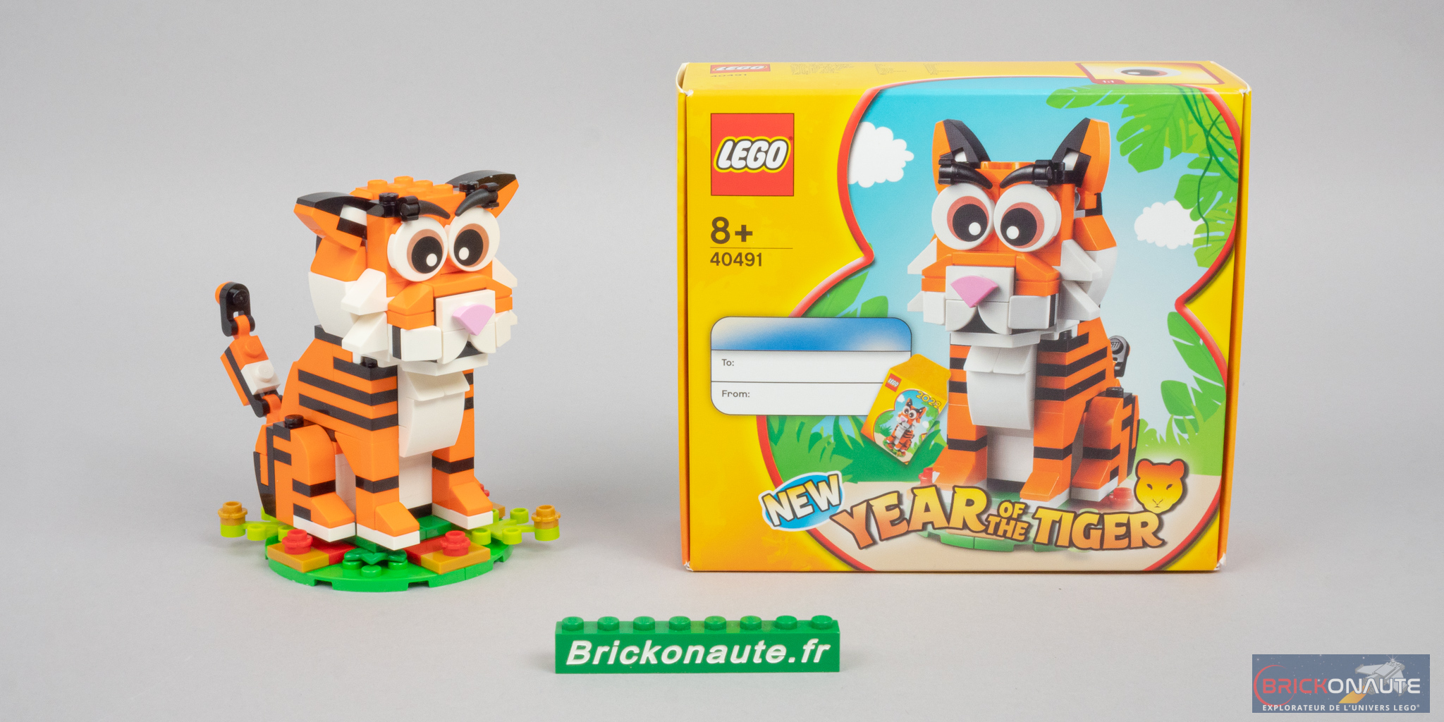 Year of the Tiger (LEGO Saisonnier - 40491) - Mini-review - Brickonaute