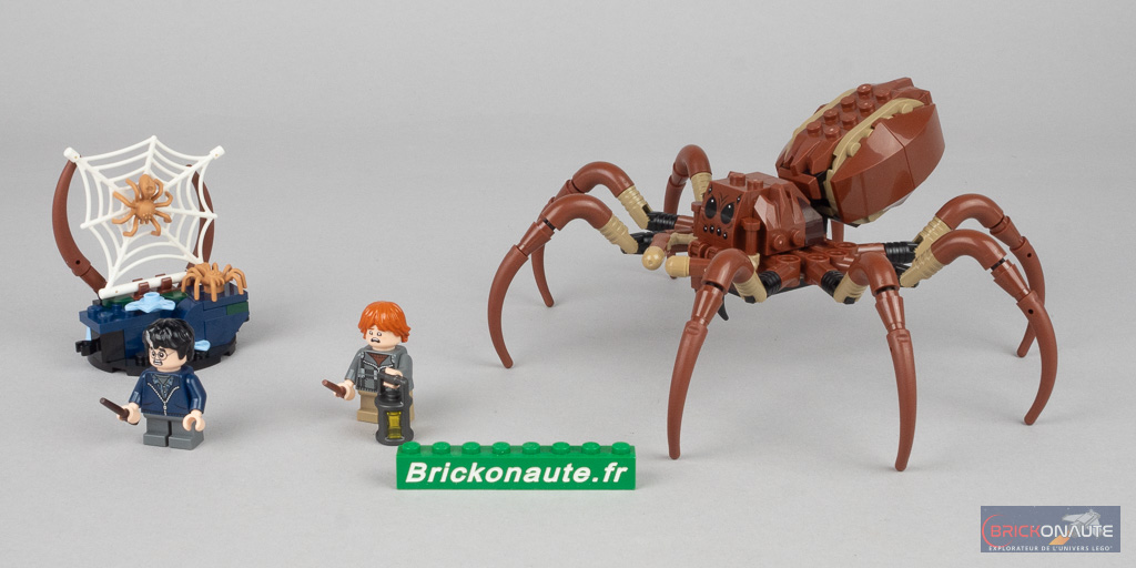 Mini-review LEGO Harry Potter 76434 Aragog in the Forbidden Forest ...