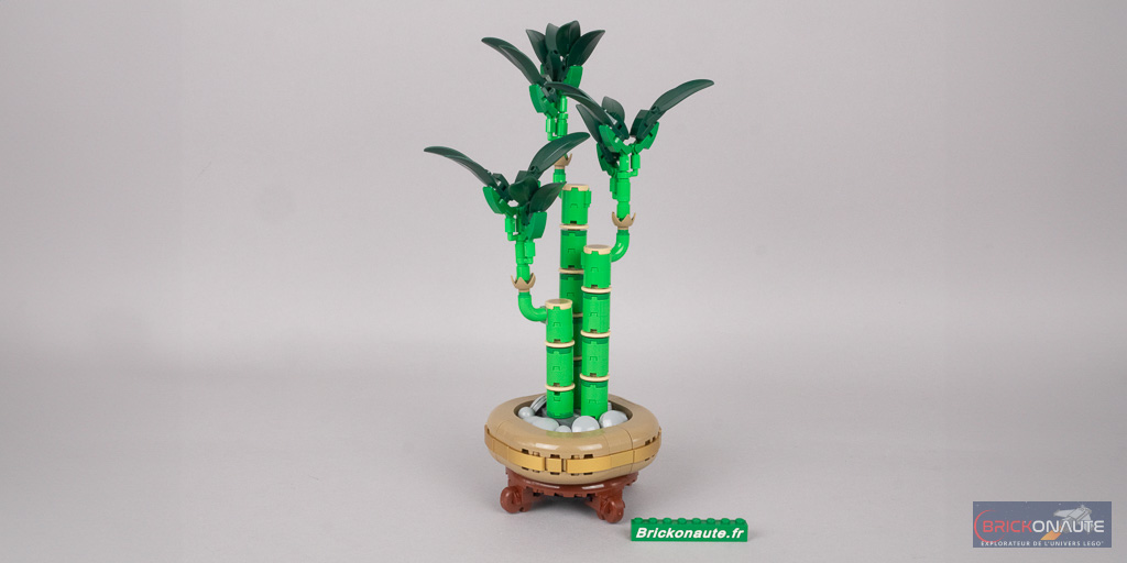 Mini-review LEGO Botanicals 10344 Lucky Bamboo - Brickonaute