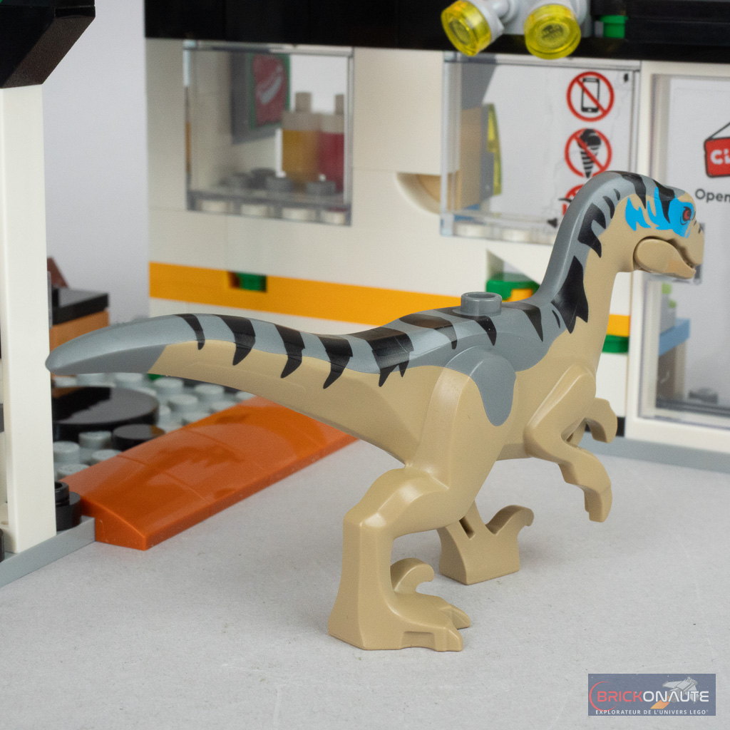 LEGO Jurassic World 76973 Raptor & Titanosaurus Tracking Mission-25 ...